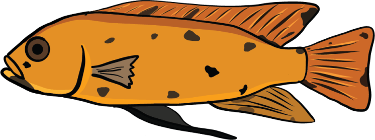 Our Team – The Moore Lab